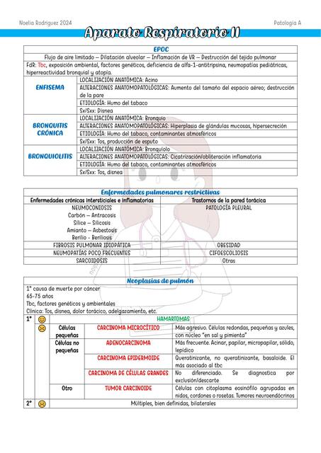 TP N°11: Aparato respiratorio II (MINI) | Noelia | uDocz