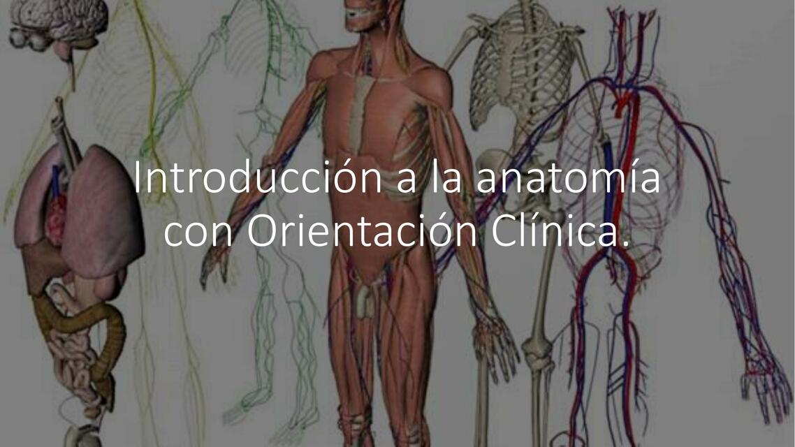 1 SEMANA INTRODUCCION A ESTUDIO BH | Sarait | uDocz