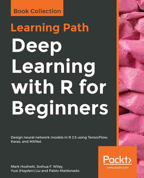 Flashcards de Deep Learning with R for Beginners | Por Packt Publishing | uDocz