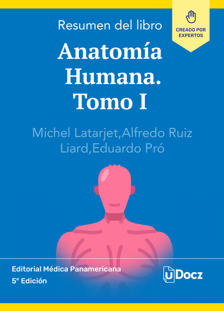 Anatomia | uDocz