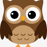 Sistema nacional de gestión del riesgo de desastres (SINAGERD)-CIVICA ...