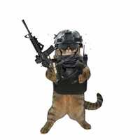 Capítulo 54 guyton | Yovanny Machán | uDocz