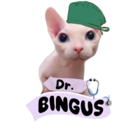 Tuberculosis | Dr. Bingus | uDocz